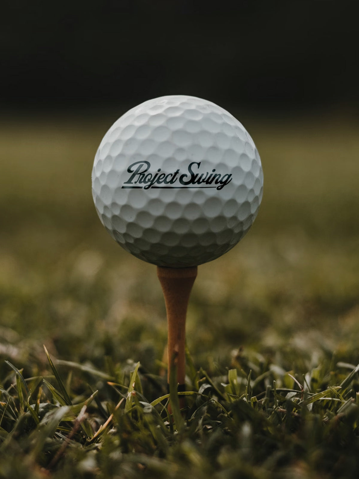 Home page – Project Swing